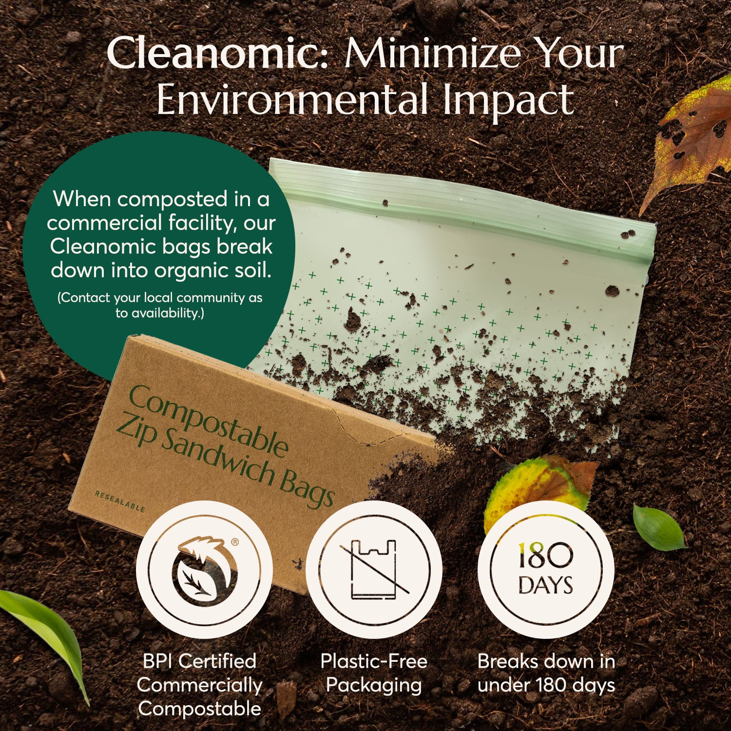 Compostable* Zip Sandwich Bags – Cleanomic